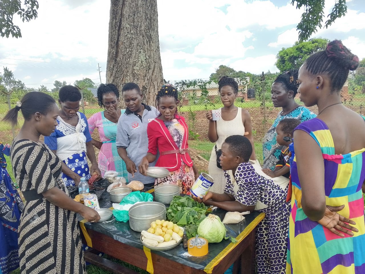 Living with Shalom Environment and Nutrition – AEGY Uganda